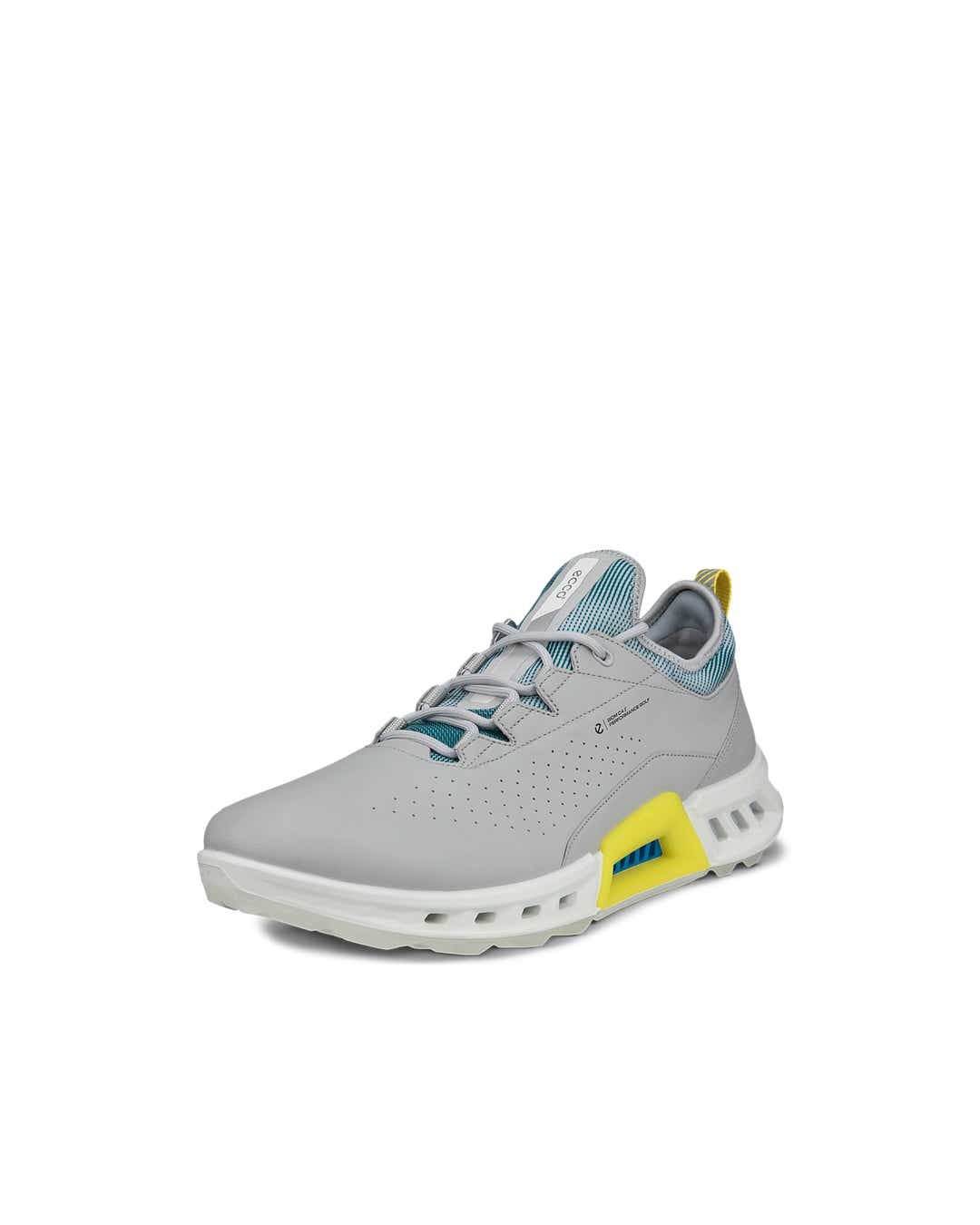 Men's ECCO® Golf BIOM C4 Leather Gore-Tex Shoe | Grey