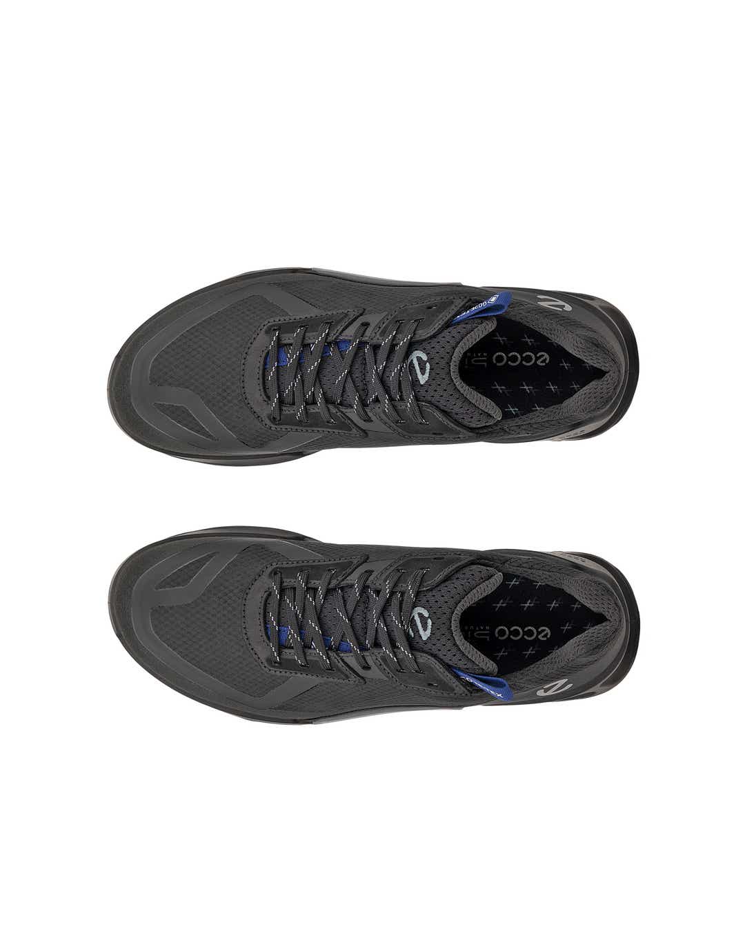 Men's ECCO® Biom 2.1 X Country Textile Gore-Tex Trail Running Shoe | Black