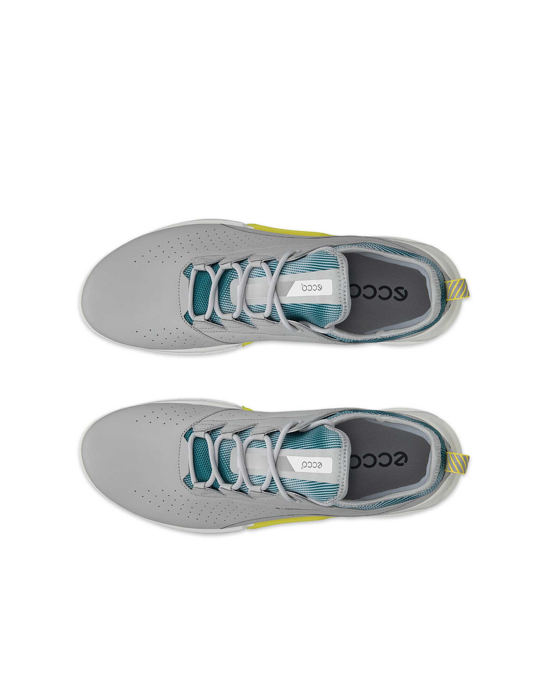 Men's ECCO® Golf BIOM C4 Leather Gore-Tex Shoe | Grey